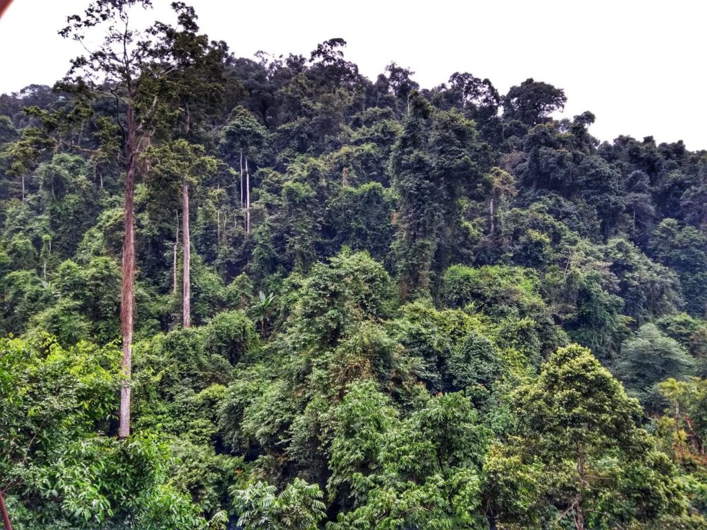 Cycle loop tour around Mengla County – A wanderlust love